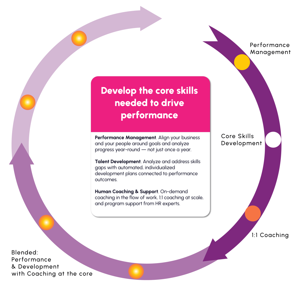 Performance Development Software Tool | SkillCycle